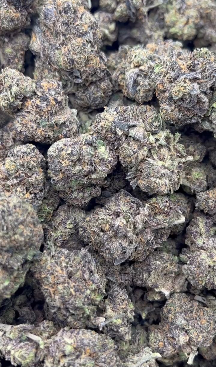 Agua (Exotic) – Boss Botanical