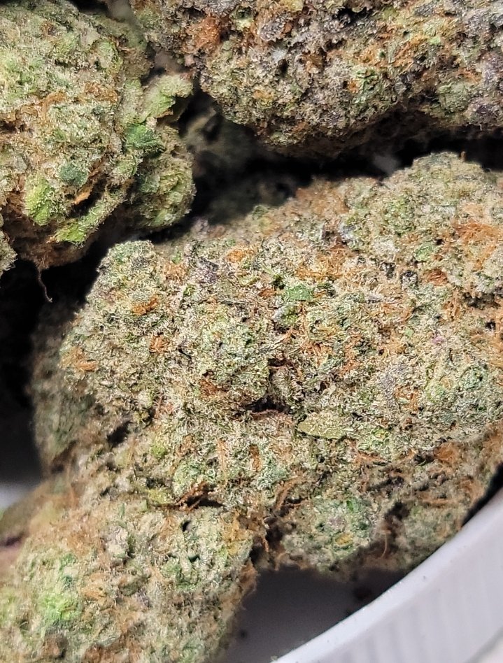 Gelato #33 (Super Exotic) – Boss Botanical